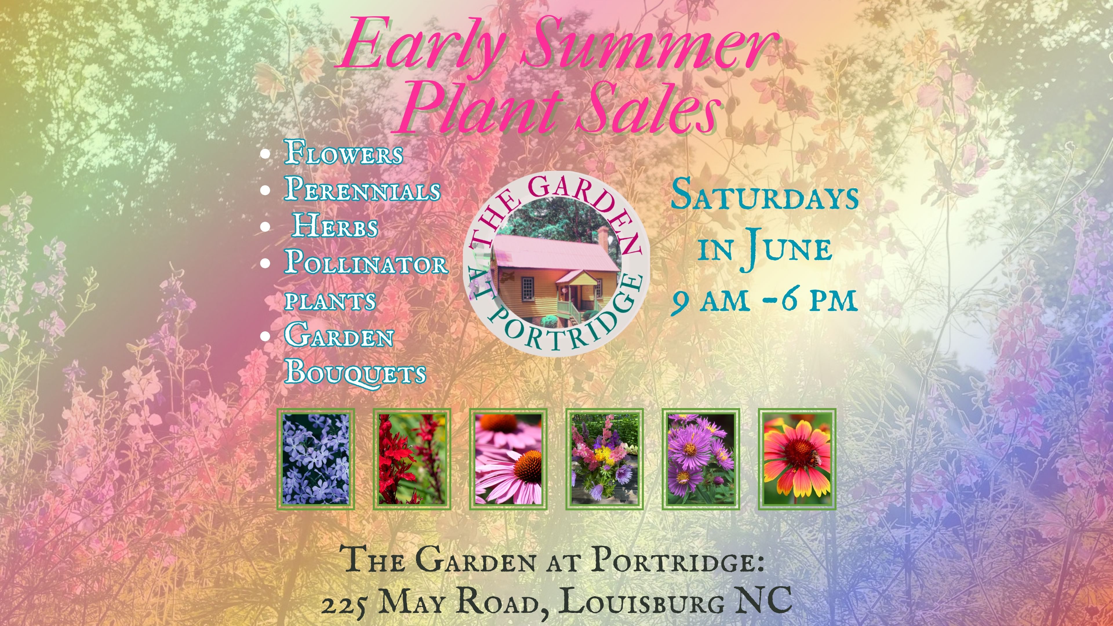 Native plants for sale near me, Franklinton, North Carolina | The ...